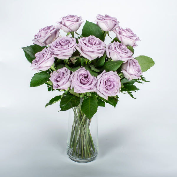 Lavender Roses In A Vase - MY BASKETS