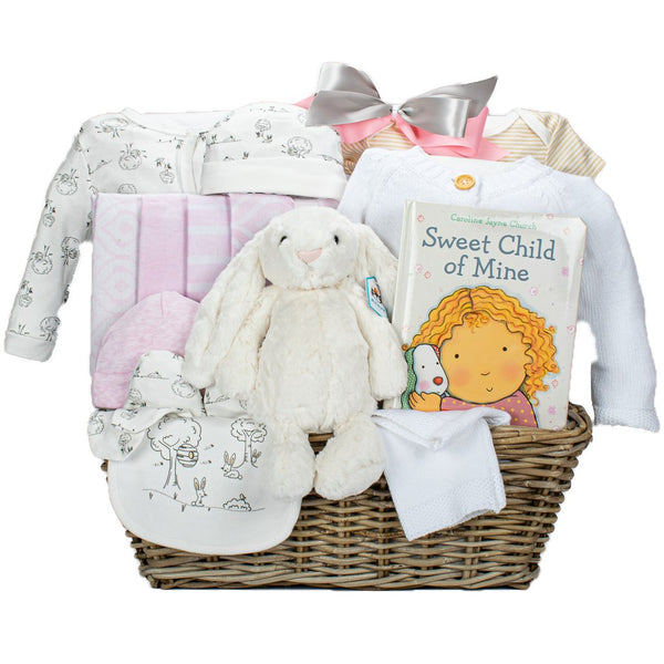 Best Baby Girl Gift Basket, Newborn Gift, Same Day Delivery - MY BASKETS