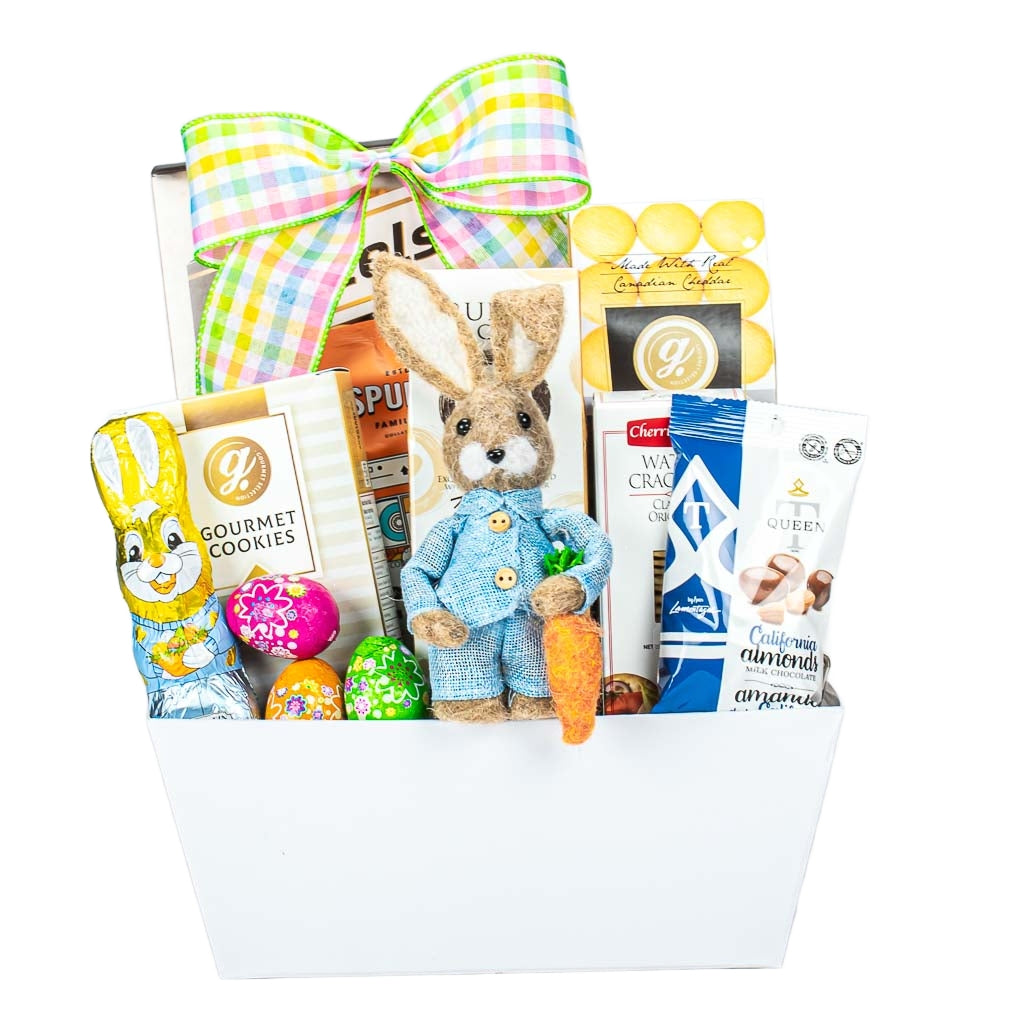 Easter Egg Hunt Gift Basket with Bunny - MY BASKETS