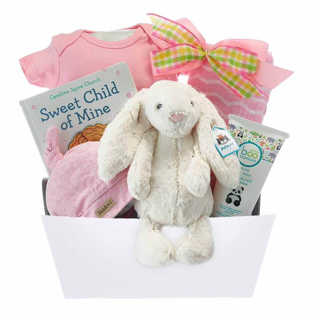 Baby Girl Little Bunny Gift Baskets New Parents Will Love! - MY BASKETS